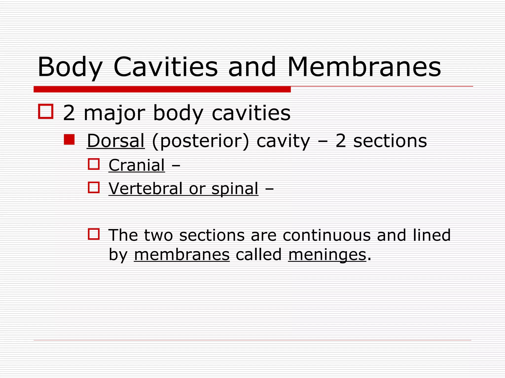 Chapter 1--Organization and General Plan of the Body | PPT