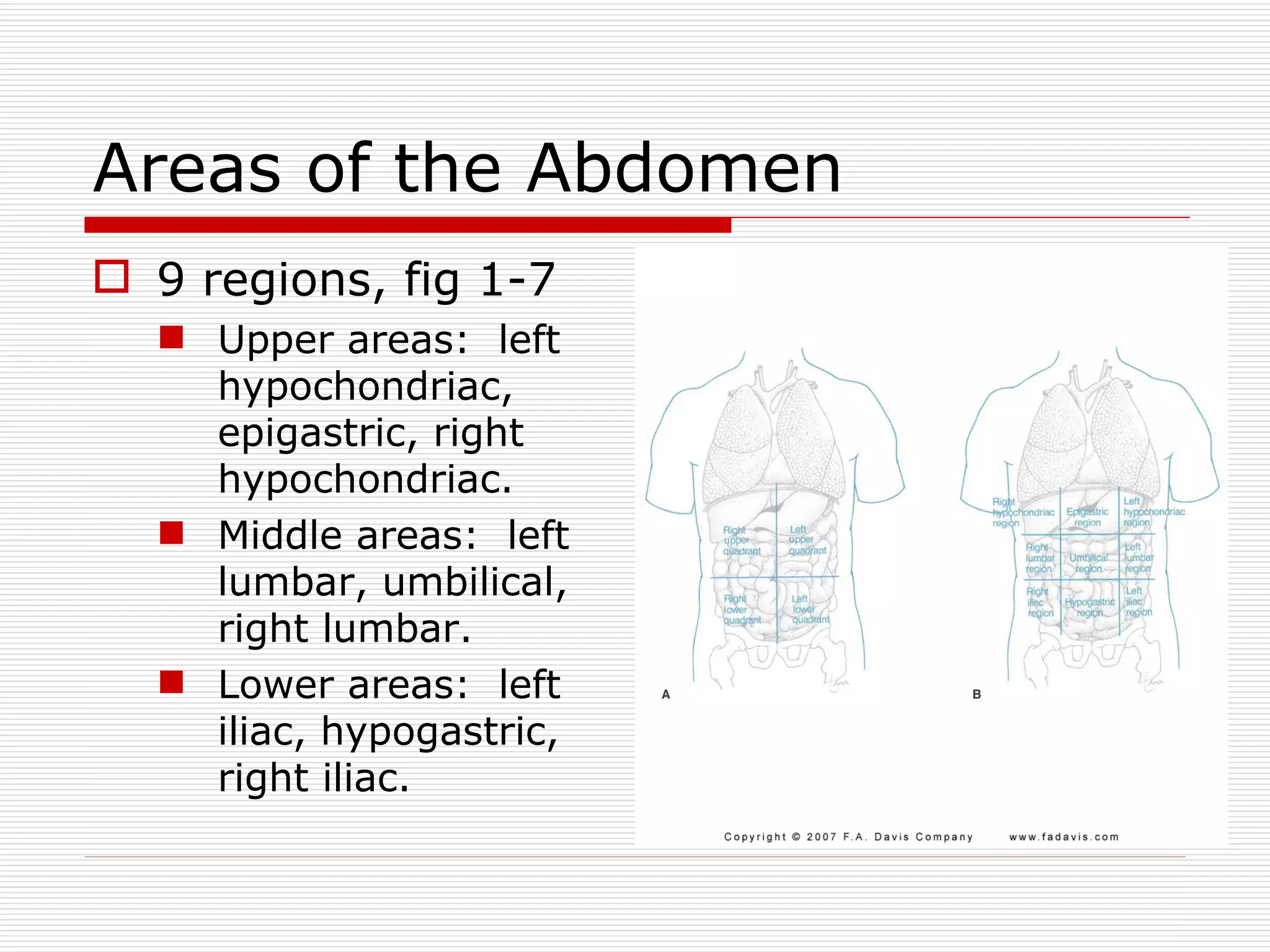 Chapter 1--Organization and General Plan of the Body | PPT
