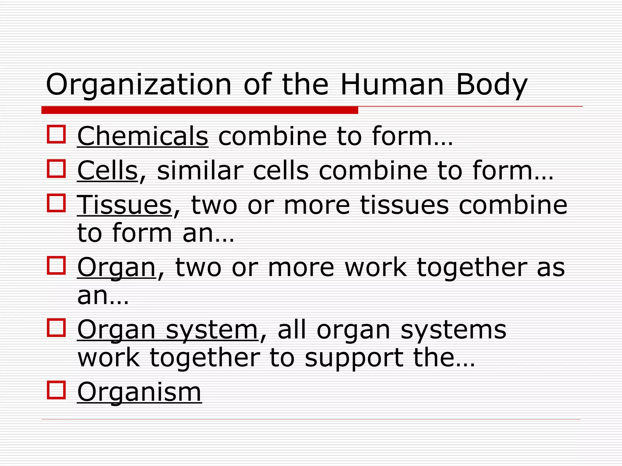 Chapter 1--Organization and General Plan of the Body | PPT