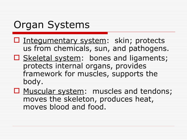 Chapter 1--Organization and General Plan of the Body | PPT