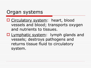 Chapter 1--Organization and General Plan of the Body | PPT