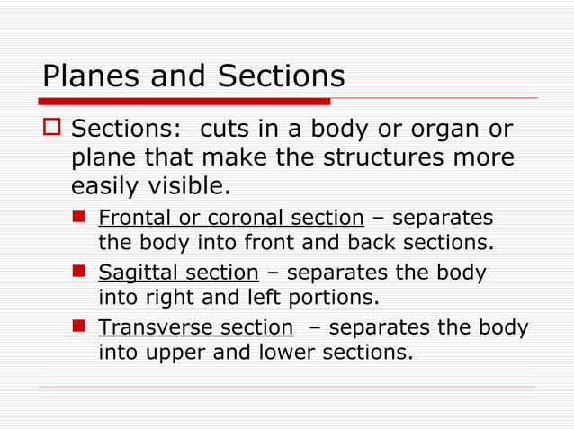 Chapter 1--Organization and General Plan of the Body | PPT