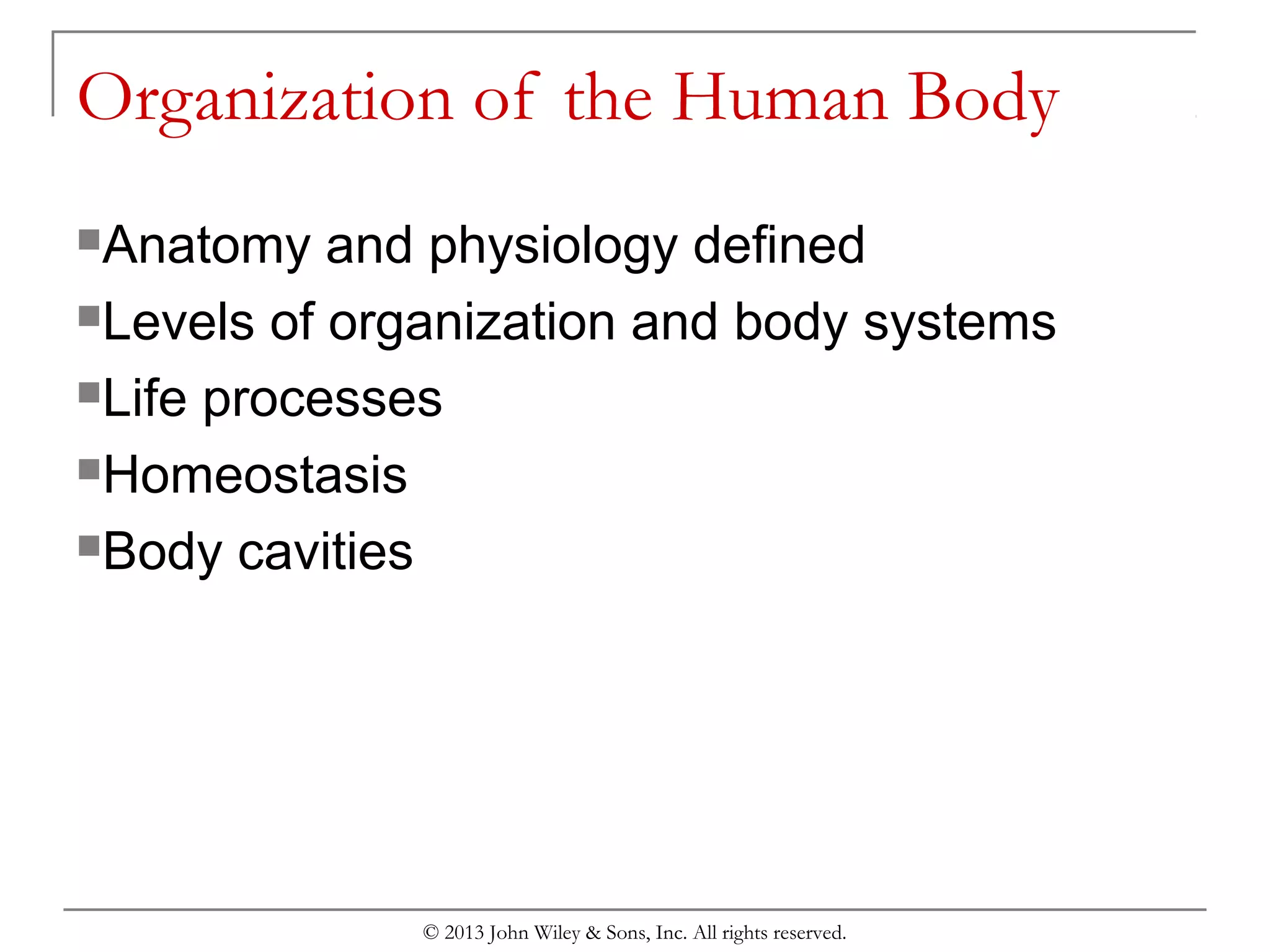 Chapter 1 organization of the human body | PPT