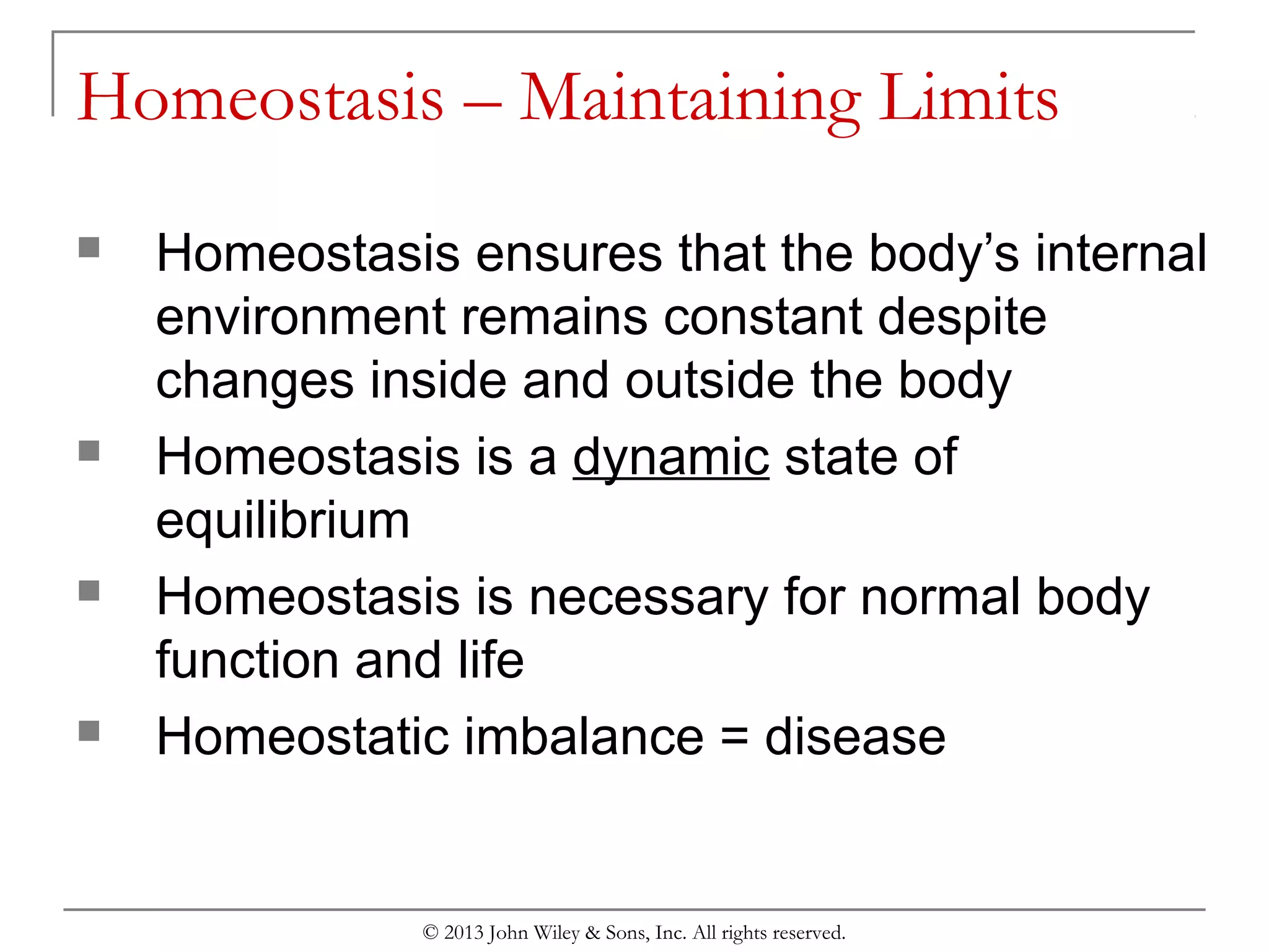 Chapter 1 organization of the human body | PPT
