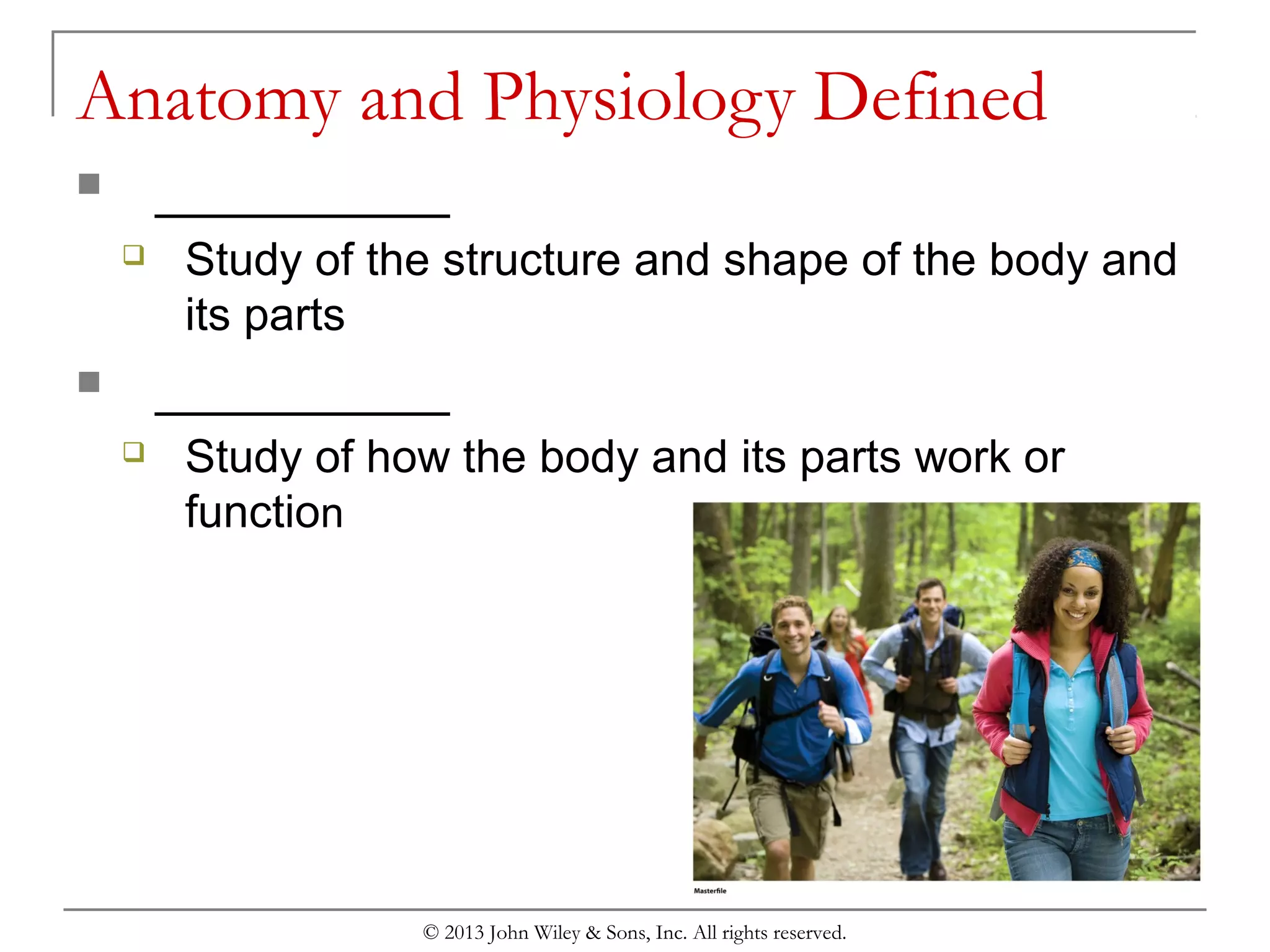Chapter 1 organization of the human body | PPT