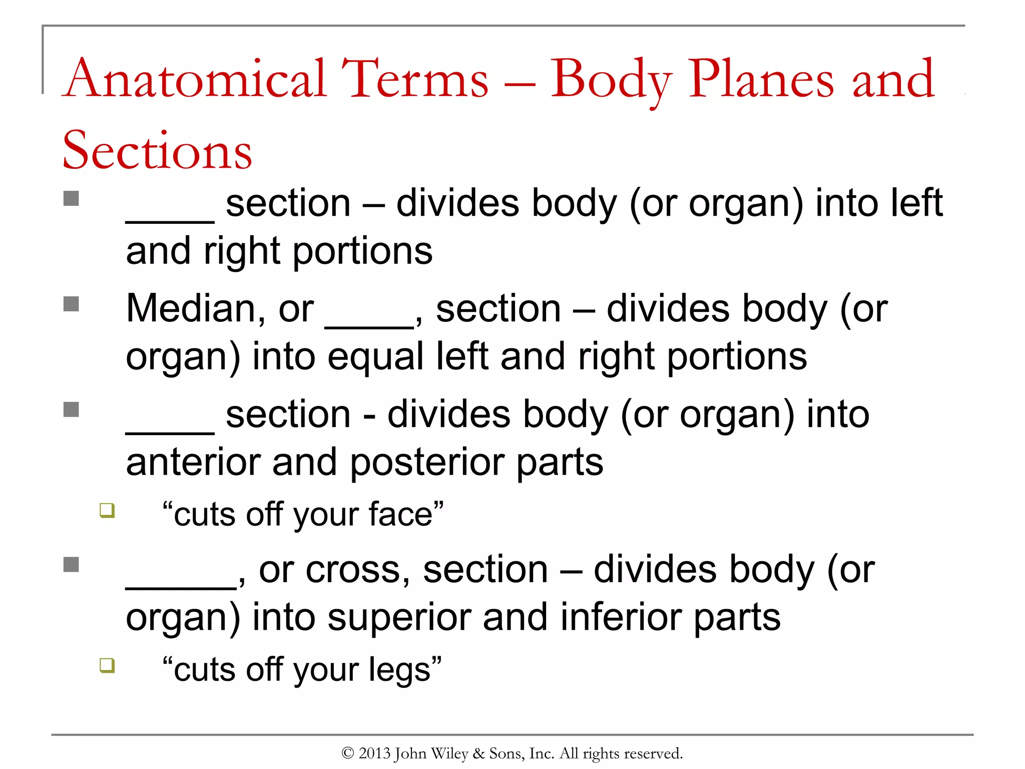 Chapter 1 organization of the human body | PPT