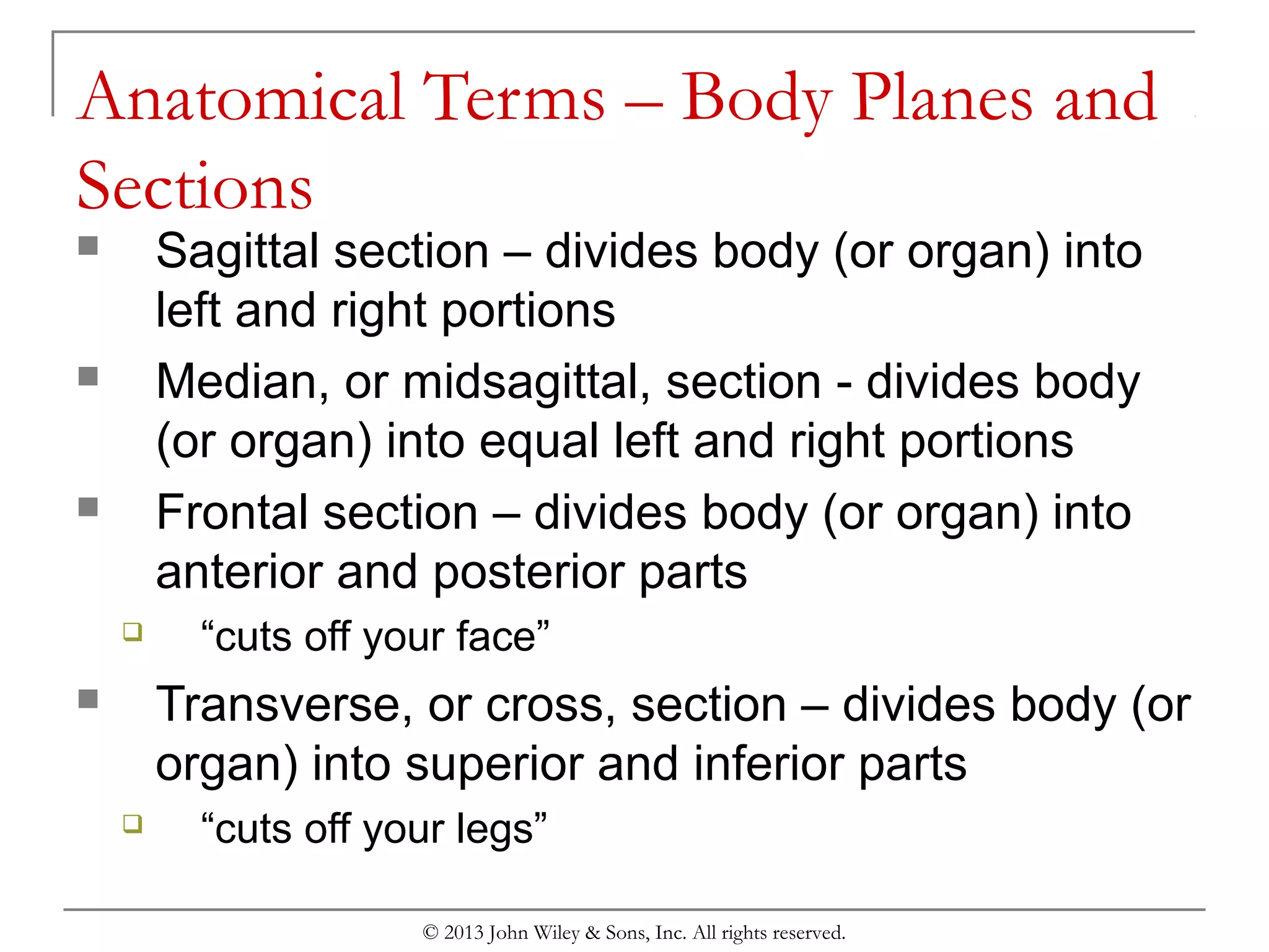 Chapter 1 organization of the human body | PPT