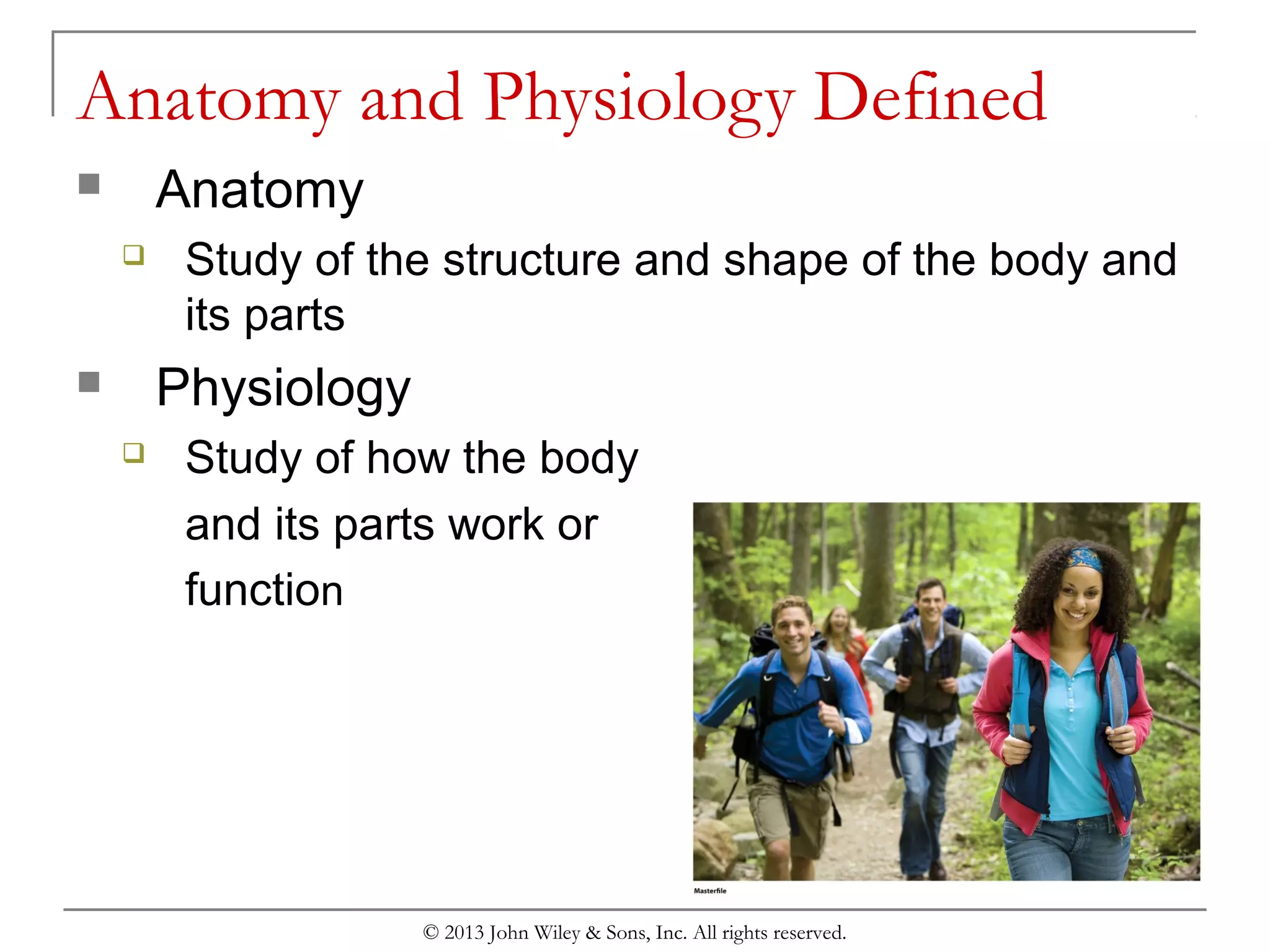 Chapter 1 organization of the human body | PPT