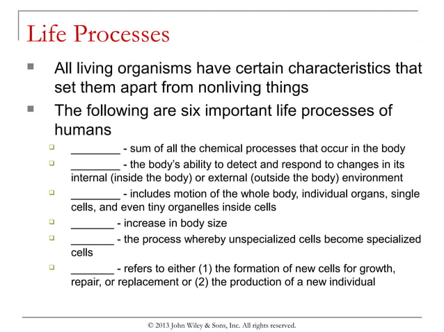 Chapter 1 organization of the human body | PPT