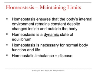 Chapter 1 organization of the human body | PPT