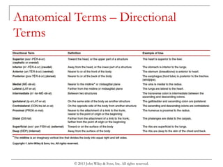 Chapter 1 organization of the human body | PPT