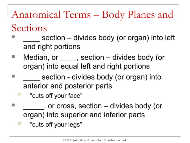 Chapter 1 organization of the human body | PPT