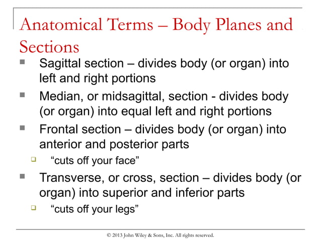 Chapter 1 organization of the human body | PPT