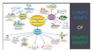 Chapter 1 our environment for class 7 | PPTX