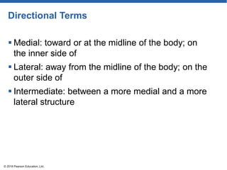 Chapter 1 Overview of the Human Body.pdf
