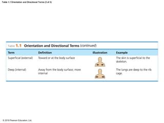 Chapter 1 Overview of the Human Body.pdf