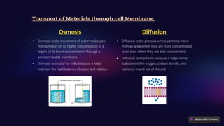 biomolecules there importance and functions | PDF