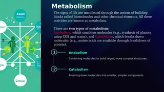 biomolecules there importance and functions | PDF