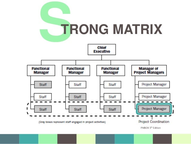 Taking smaller bites with PMP-Bite series - PMP Chapter 1 Part 3 (ORG…