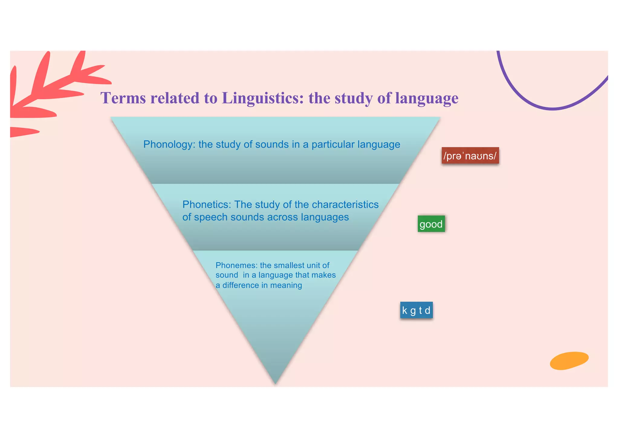 Chapter 1 phonetics for student 02 | PPT