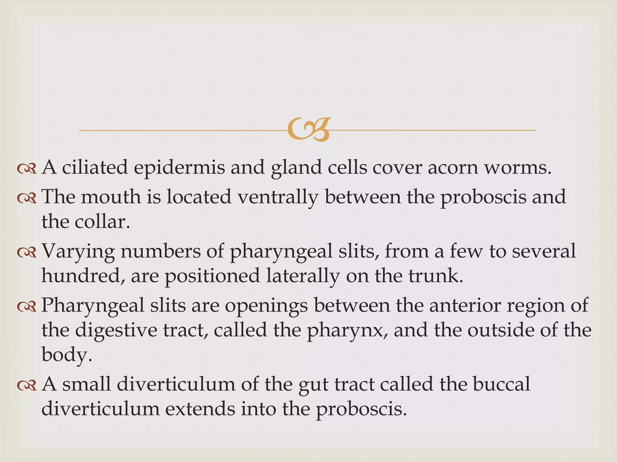 Chapter 1 Phylum Protochordates.pptx