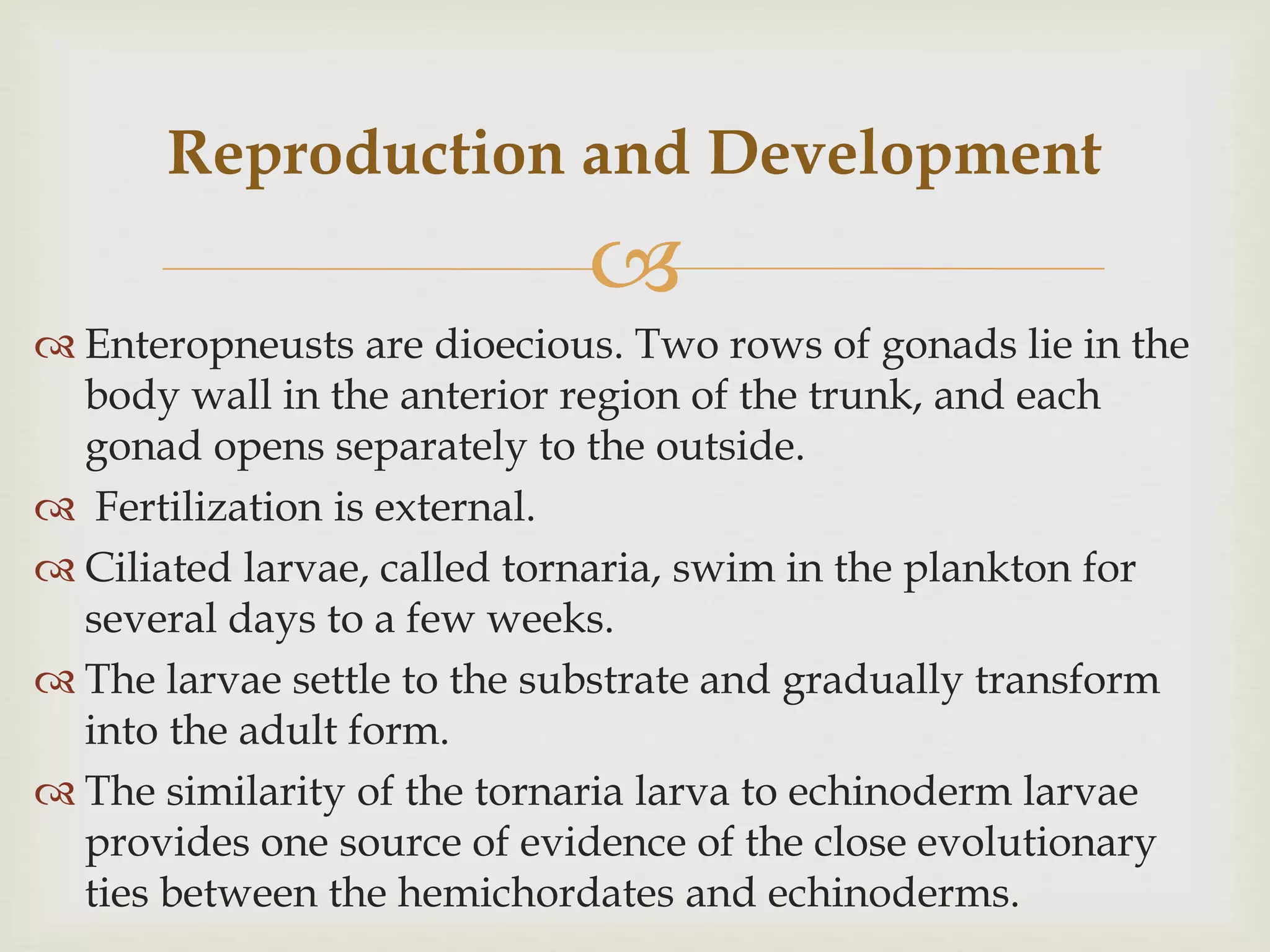 Chapter 1 Phylum Protochordates.pptx