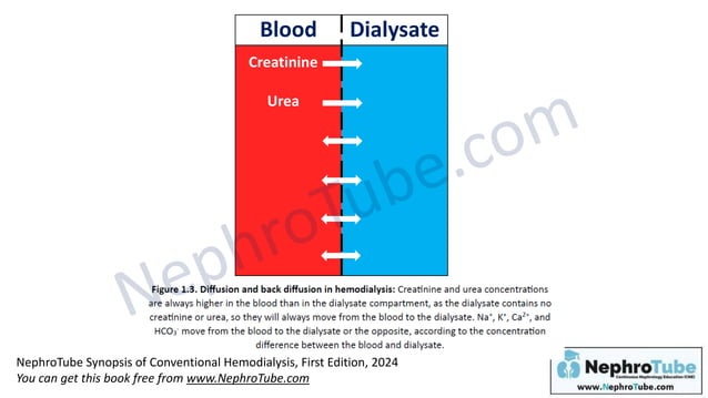 Hemodialysis: Chapter 1, Physiological Principles of Hemodialysis - Dr ...