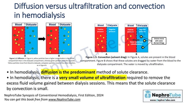 Hemodialysis: Chapter 1, Physiological Principles of Hemodialysis - Dr.Gawad | PDF | Blood ...