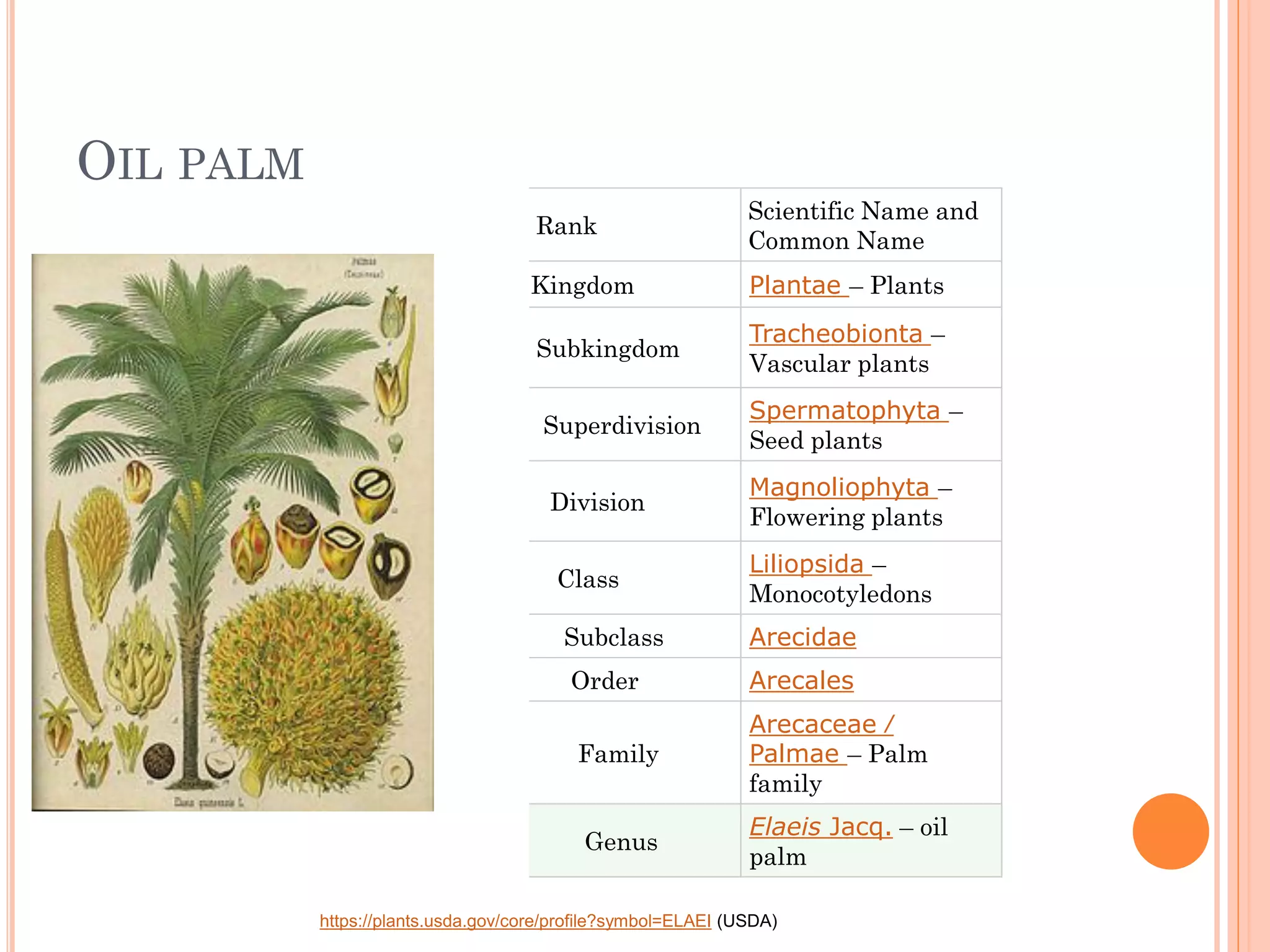 CHAPTER 1 PLANT CLASSIFICATION PRINCIPLE 07072010.pdf