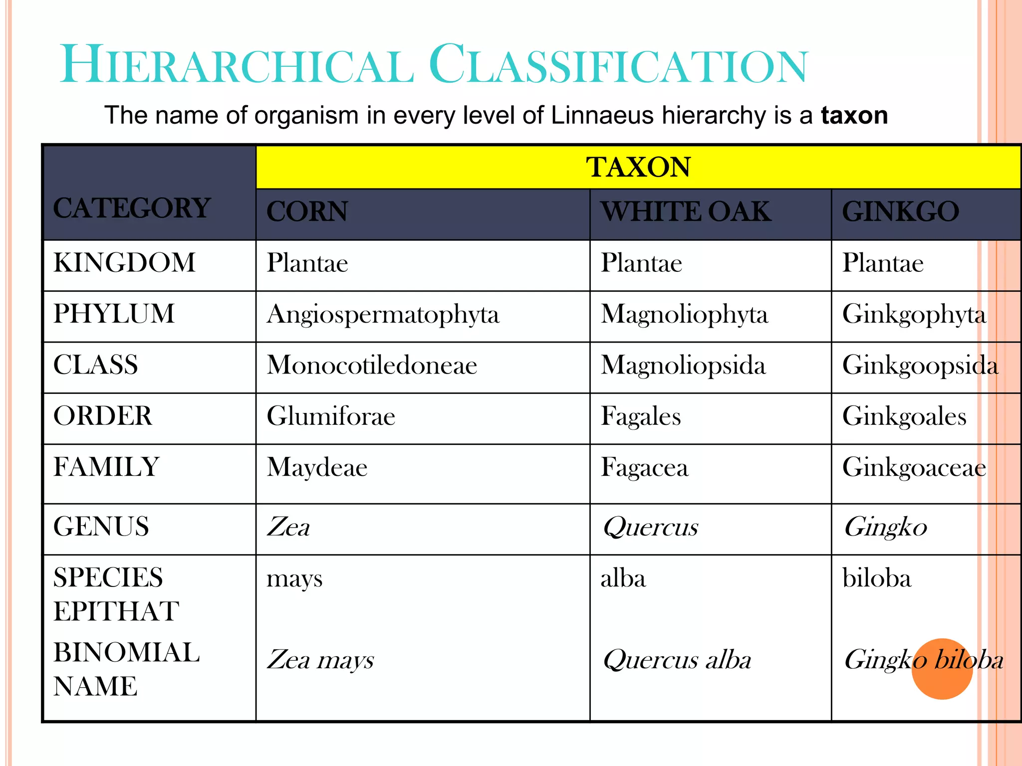 CHAPTER 1 PLANT CLASSIFICATION PRINCIPLE 07072010.pdf