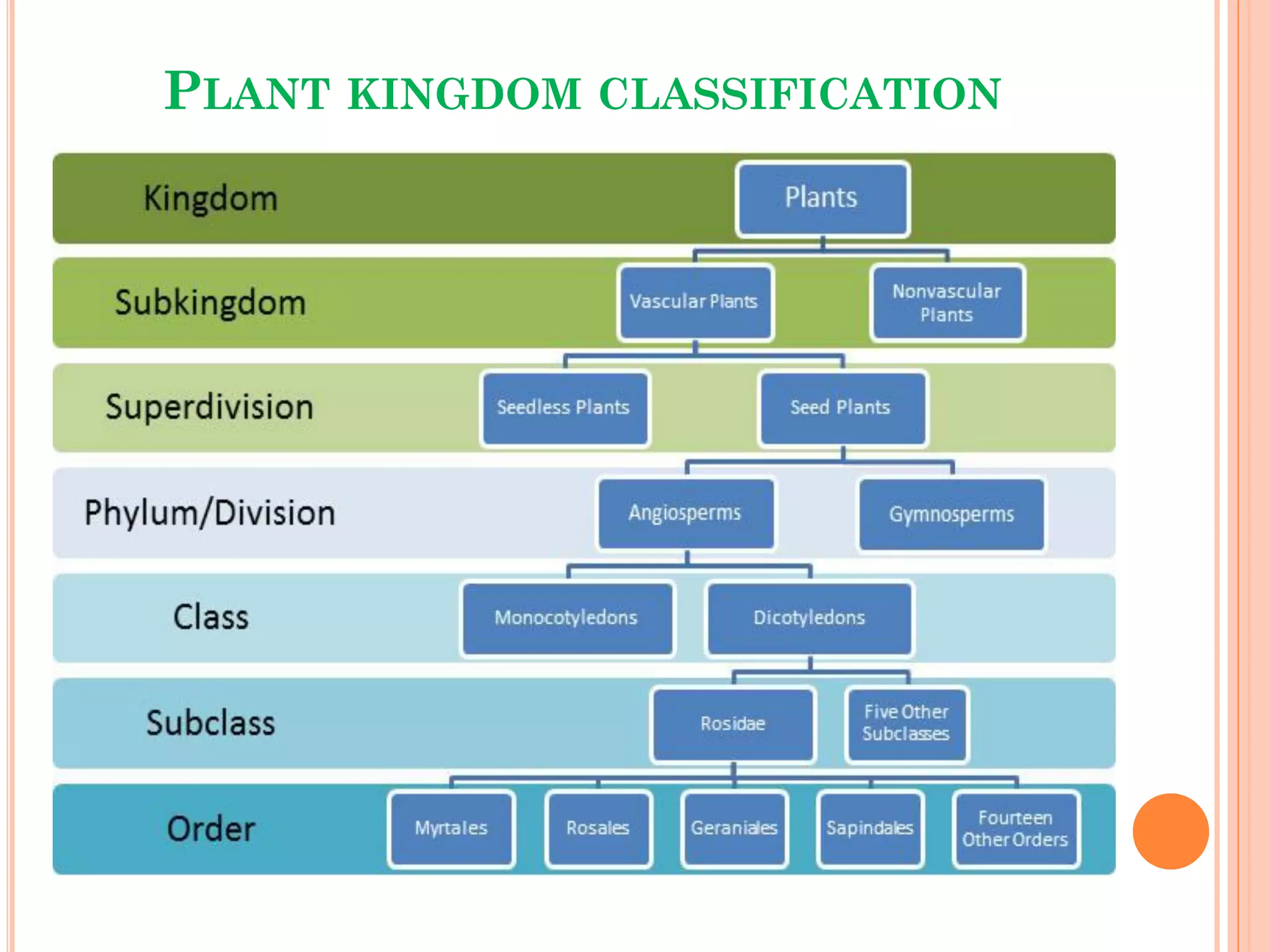 CHAPTER 1 PLANT CLASSIFICATION PRINCIPLE 07072010.pdf