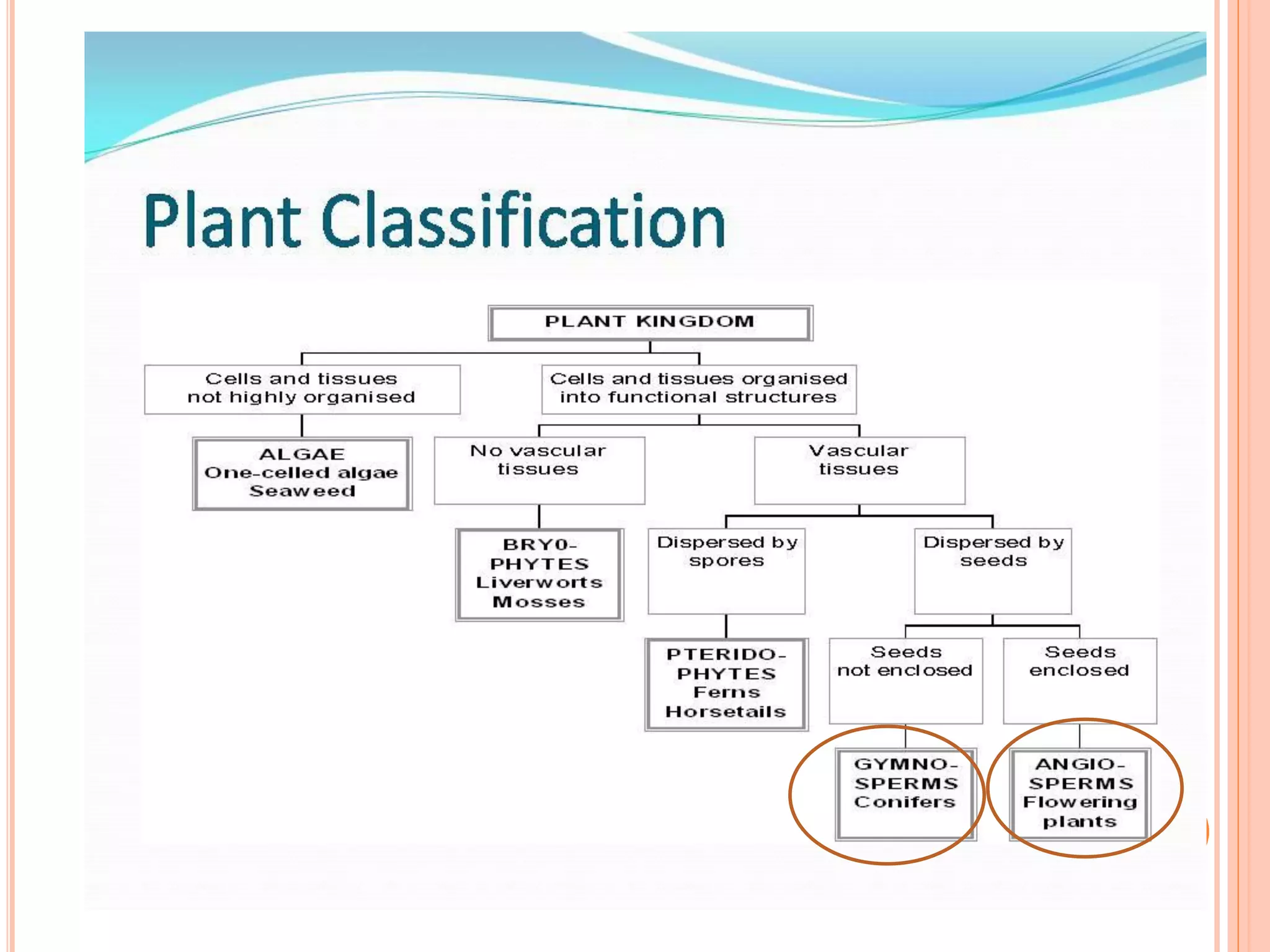 CHAPTER 1 PLANT CLASSIFICATION PRINCIPLE 07072010.pdf