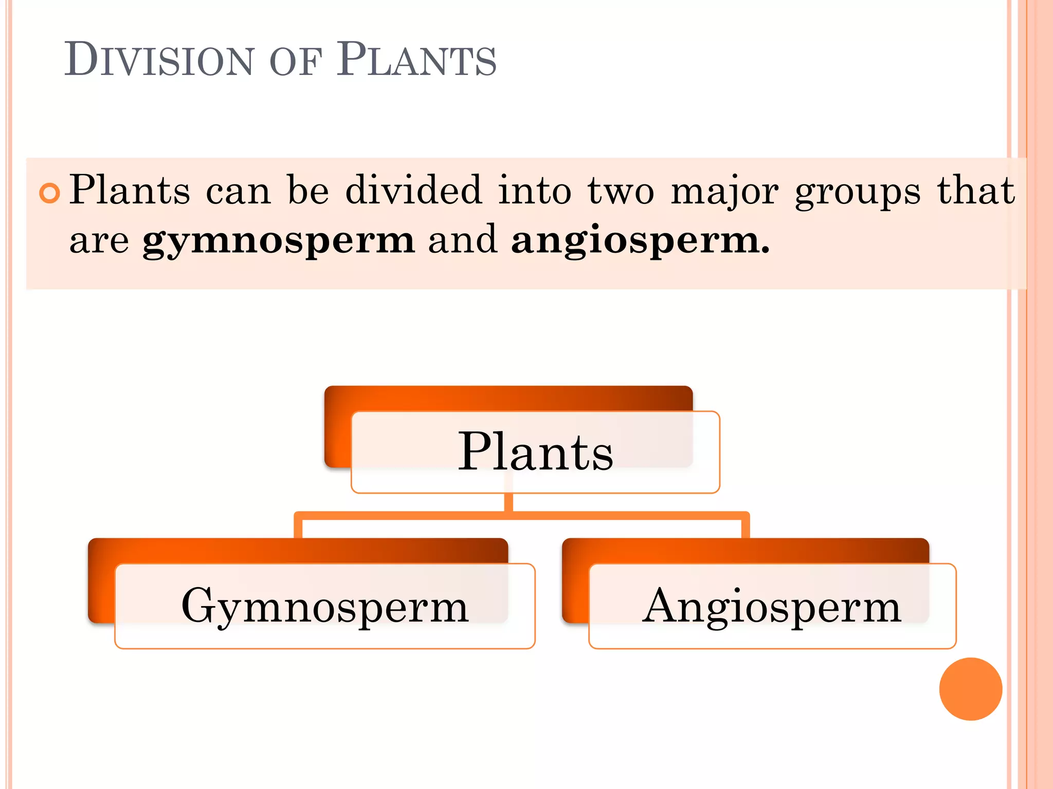 CHAPTER 1 PLANT CLASSIFICATION PRINCIPLE 07072010.pdf