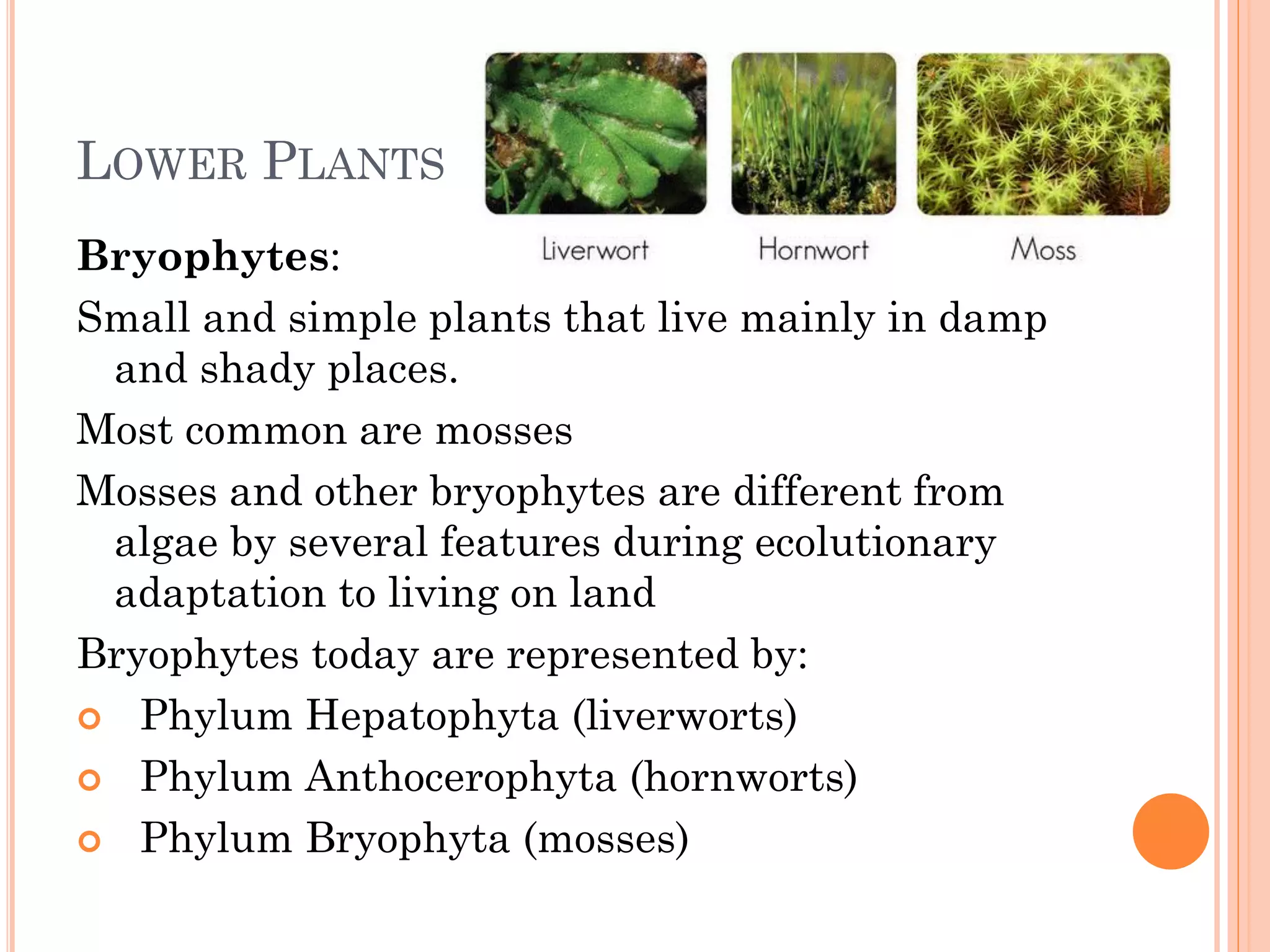 CHAPTER 1 PLANT CLASSIFICATION PRINCIPLE 07072010.pdf