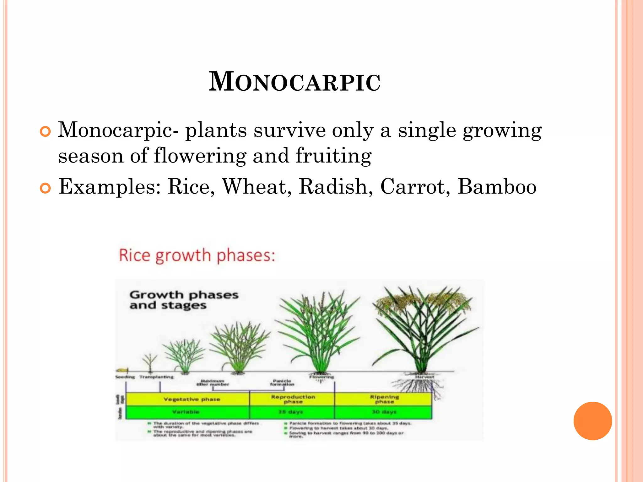 CHAPTER 1 PLANT CLASSIFICATION PRINCIPLE 07072010.pdf