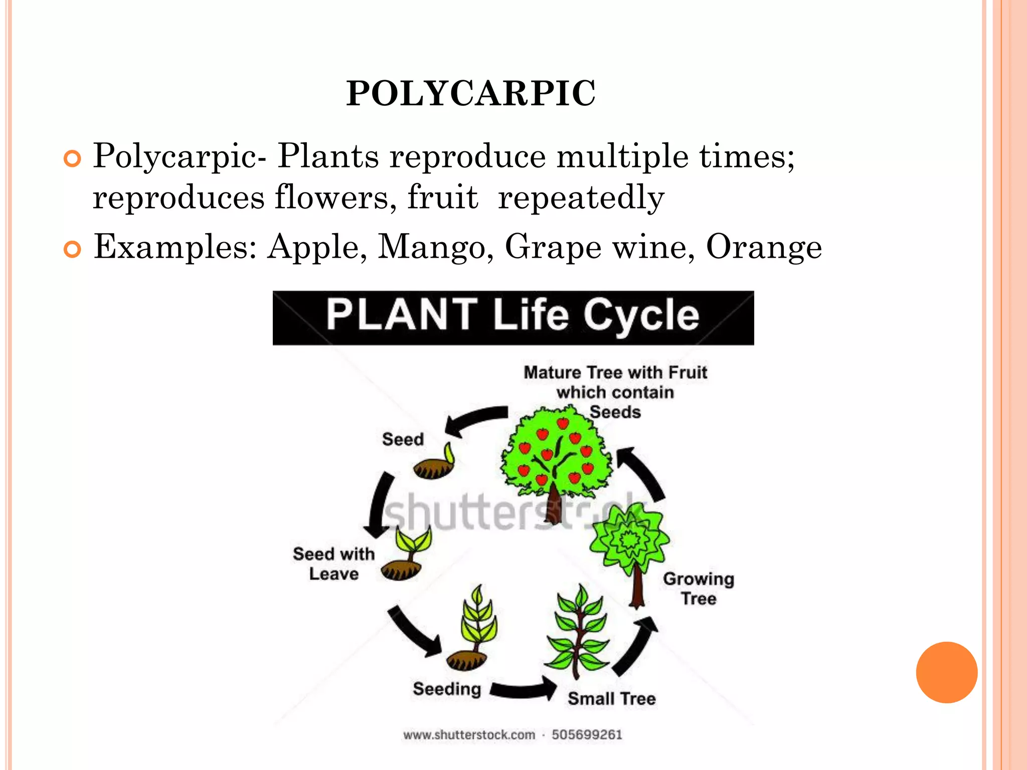 CHAPTER 1 PLANT CLASSIFICATION PRINCIPLE 07072010.pdf