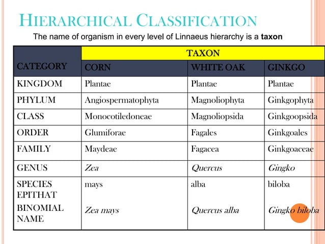 CHAPTER 1 PLANT CLASSIFICATION PRINCIPLE 07072010.pdf
