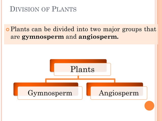CHAPTER 1 PLANT CLASSIFICATION PRINCIPLE 07072010.pdf