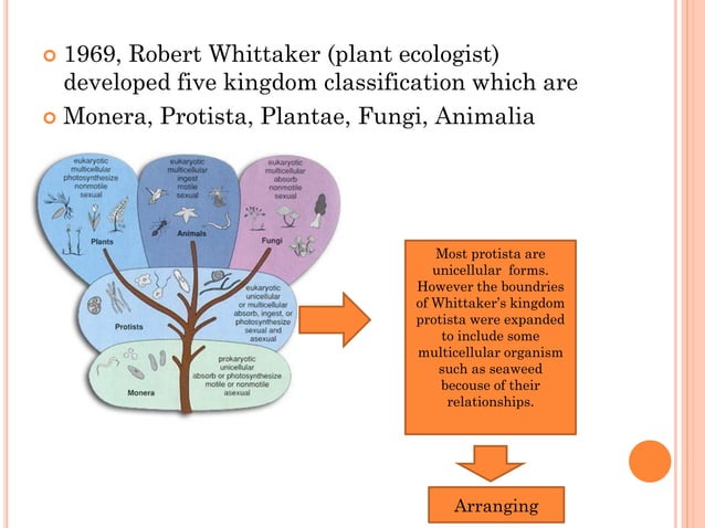 CHAPTER 1 PLANT CLASSIFICATION PRINCIPLE 07072010.pdf