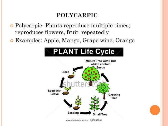CHAPTER 1 PLANT CLASSIFICATION PRINCIPLE 07072010.pdf