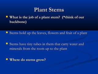 Chapter 1 plants | PPT
