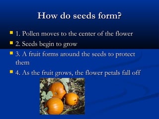 Chapter 1 plants | PPT