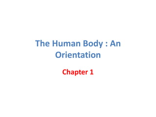 The Human Body: An Orientaion | PPTX