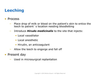 Chapter 1 powerpoint | PPT