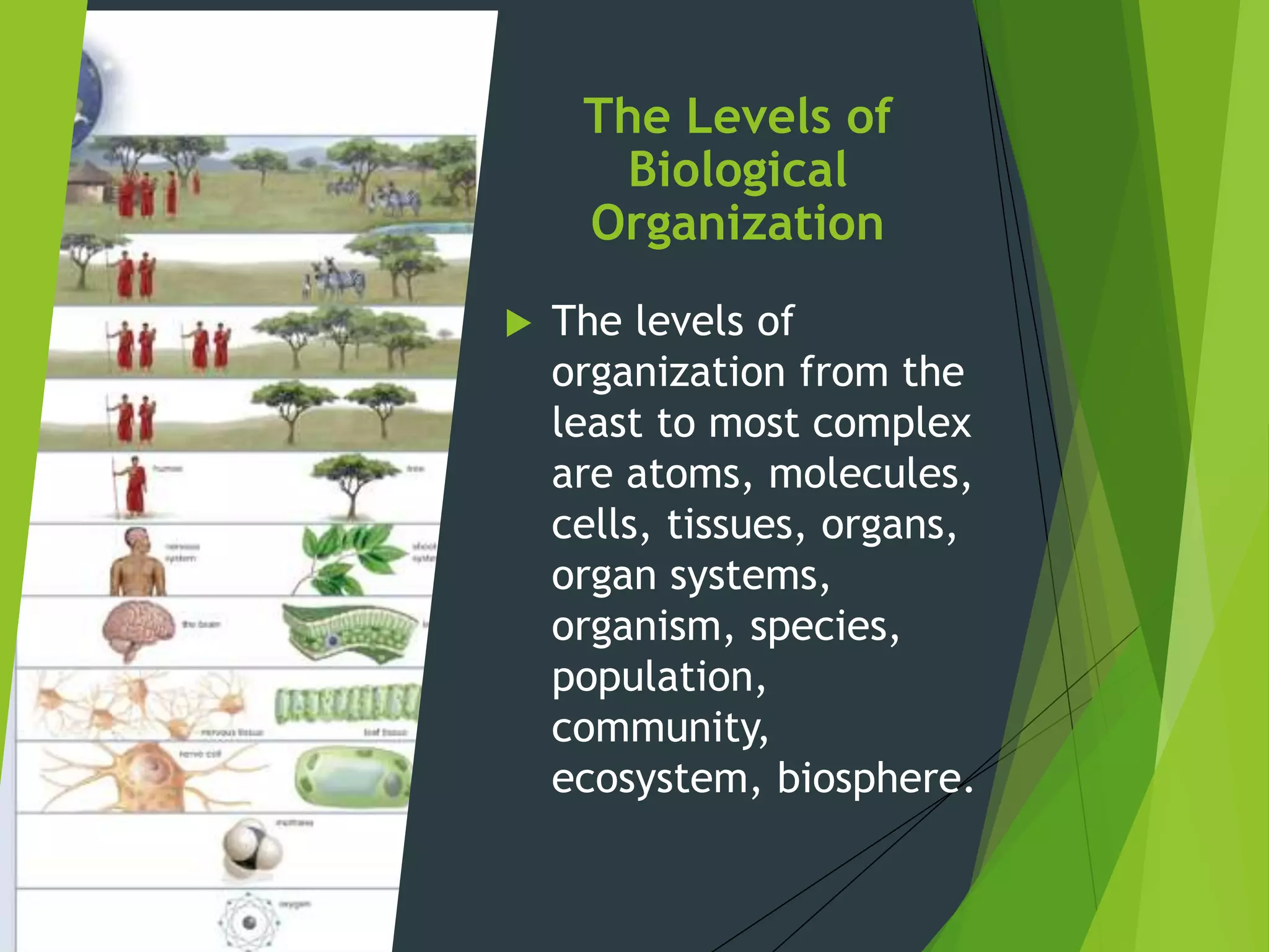 Chapter 1: Biology - The Science of Life | PPTX