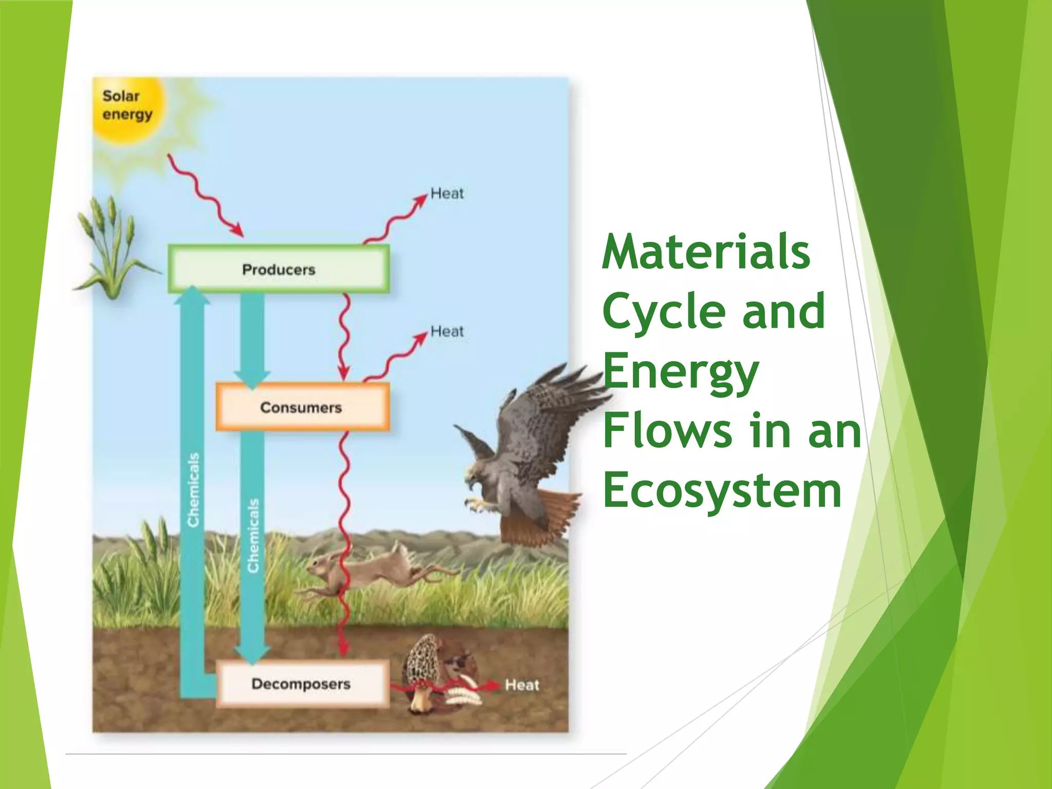 Chapter 1: Biology - The Science of Life | PPTX
