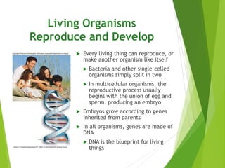 Chapter 1: Biology - The Science of Life | PPTX