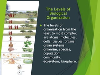 Chapter 1: Biology - The Science of Life | PPTX