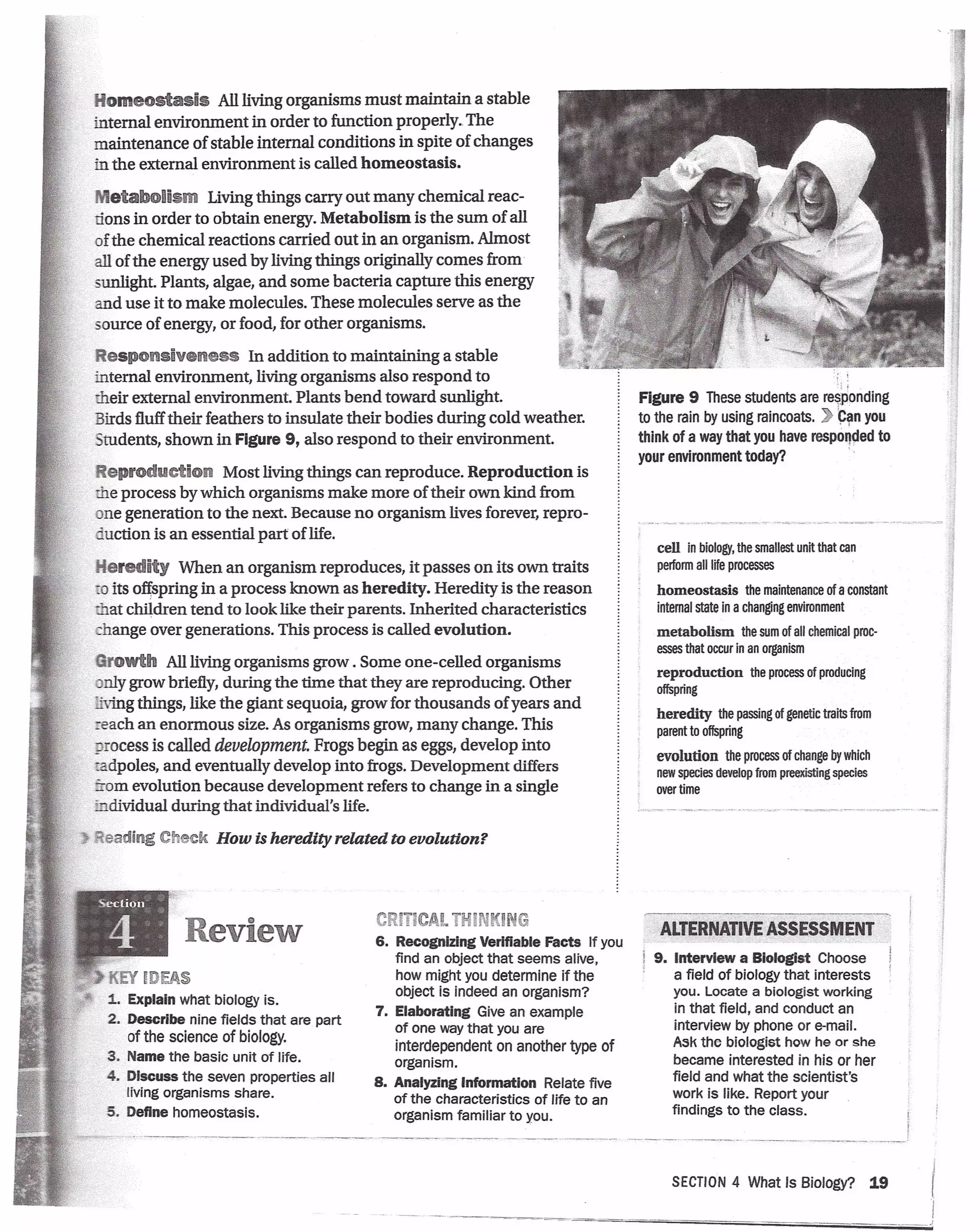 Chapter 1 properties of life | PDF