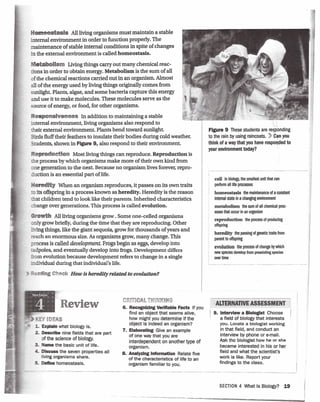 Chapter 1 properties of life | PDF